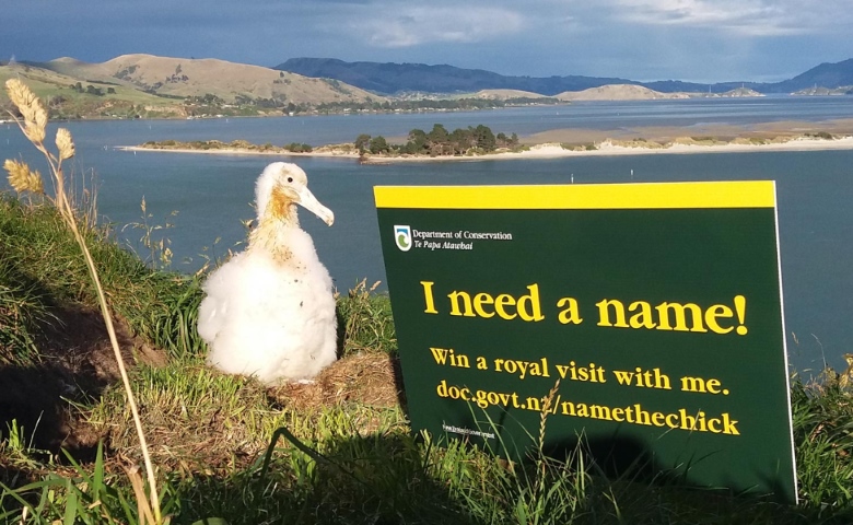 Introducing Tūmanako (the Māori word for hope) - New Zealand In Depth