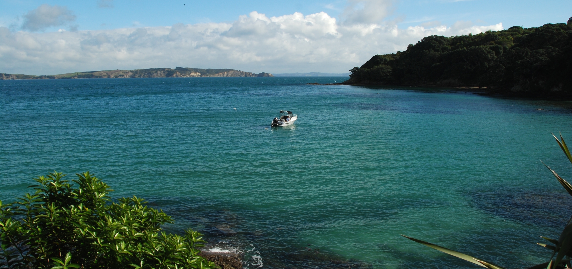 Tiritiri Matangi Island - New Zealand In Depth