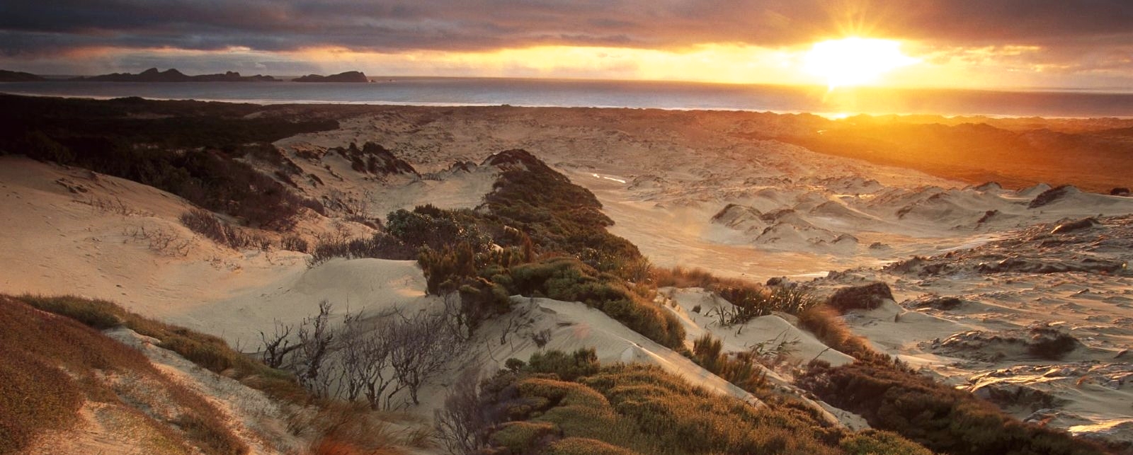 Mason Bay - New Zealand In Depth